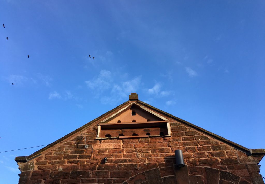 Warwick Bridge Corn Mill - Constructing Excellence