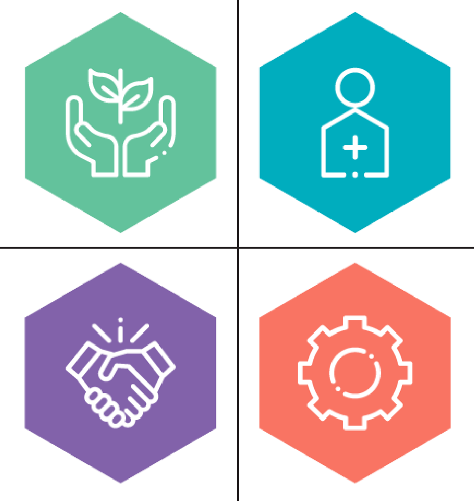 The Four Capitals Model - Constructing Excellence